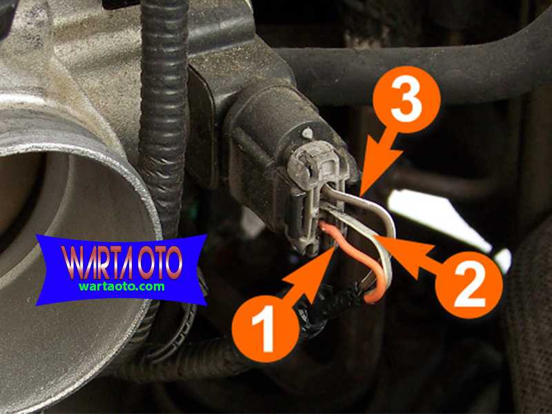 Menilik Fungsi Sensor TPS Pada Mobil dan Cara Kerjanya | Warta OTO